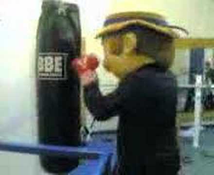 mad hatter boxing - YouTube