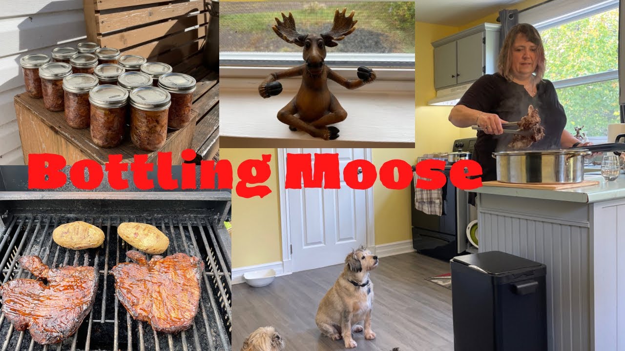Bottling Some Newfoundland Moose - Grilling A Couple Moose Steaks ...