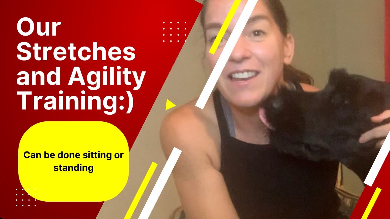 Seated or standing Agility Training and Stretches for PD - YouTube