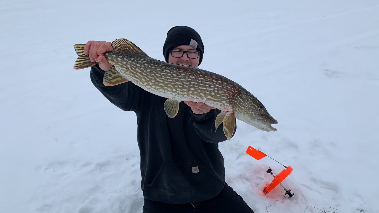 TIP UP PIKE FISHING (PIKE BIT ME) - YouTube