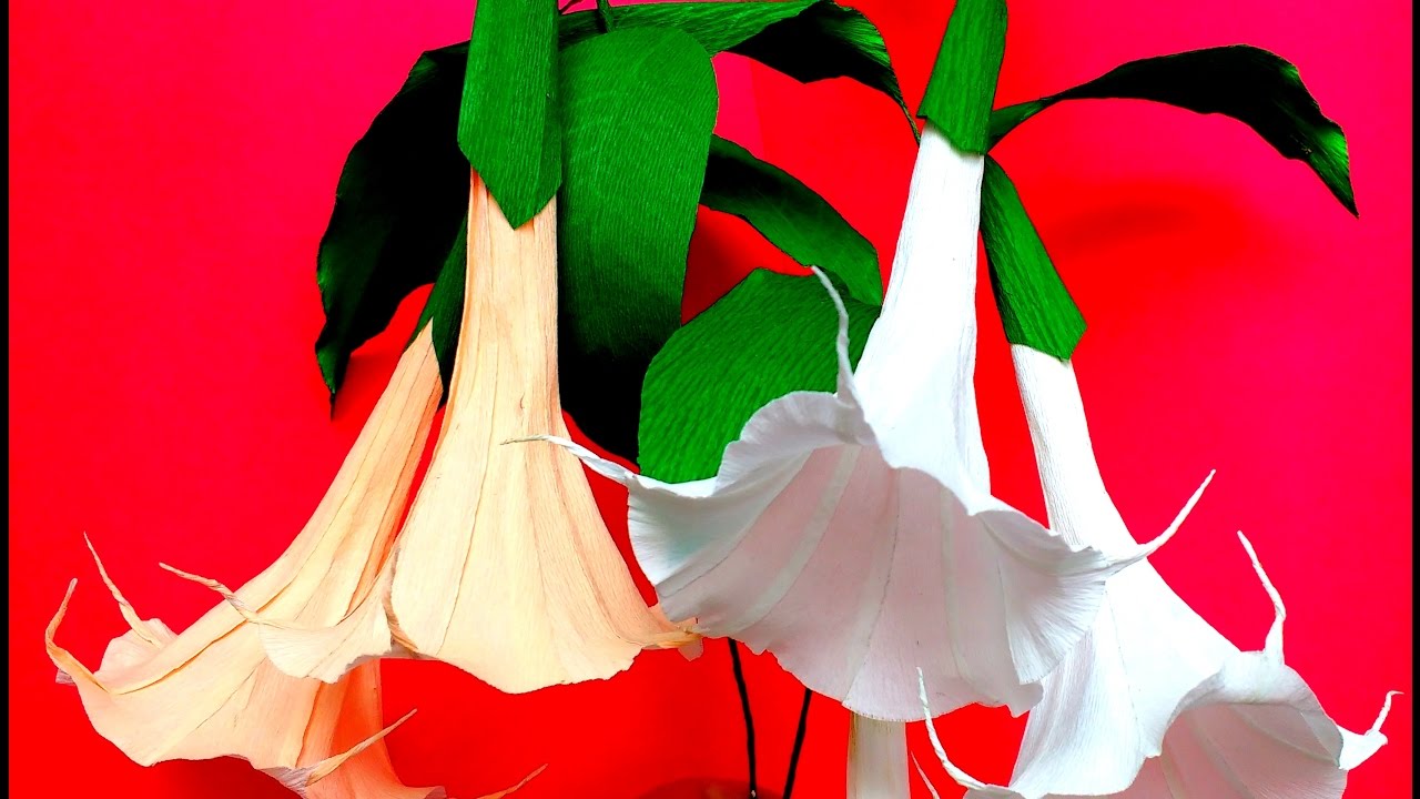 How to make Paper Flowers Brugmansia / Angel Trumpet (flower # 100 ...