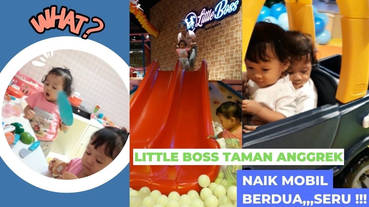 Little Boss Pet Shop Hong Kong at William Marciniak blog