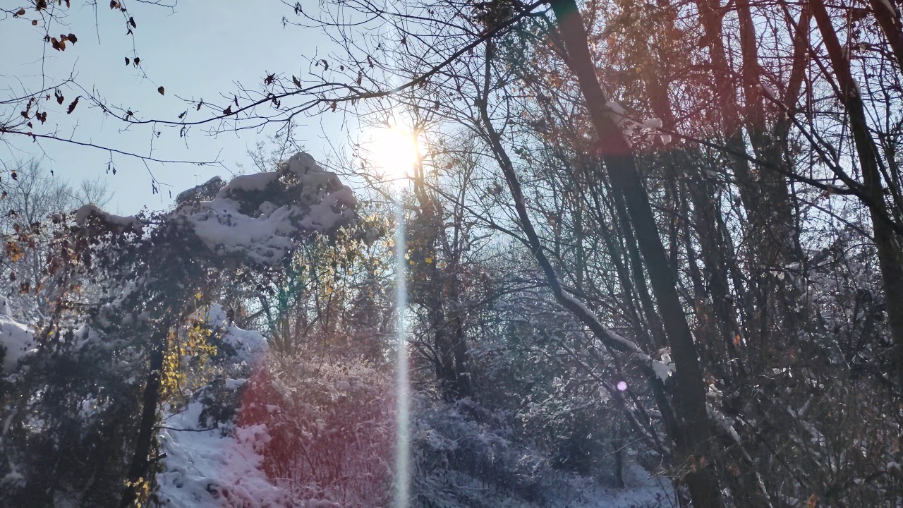 OnePlus Nord N10 5G 4K 30 fps sample video
