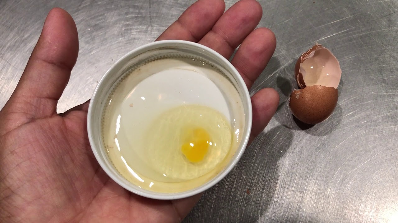 Very Small Chicken Egg at Jackson Steinfeld blog