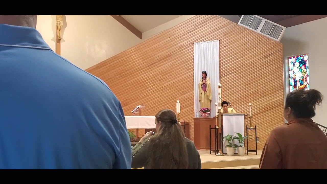 Father Steve porter # 2 the ascension of the Lord .... Sunday mass ...