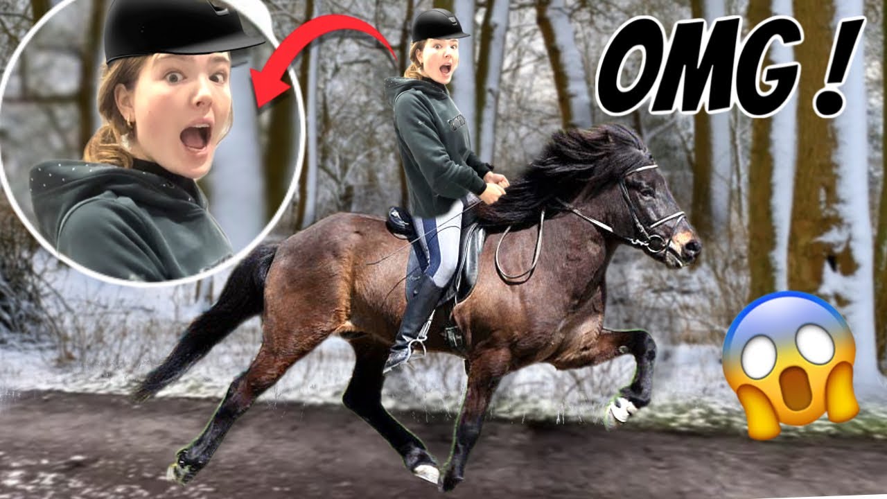 ICH REITE DAS ERSTE MAL EINEN ISLÄNDER! - YouTube