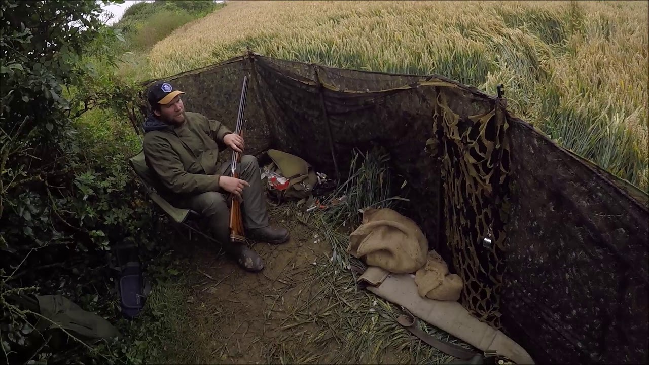 Woodpigeon Shooting 2020 2nd Day - YouTube
