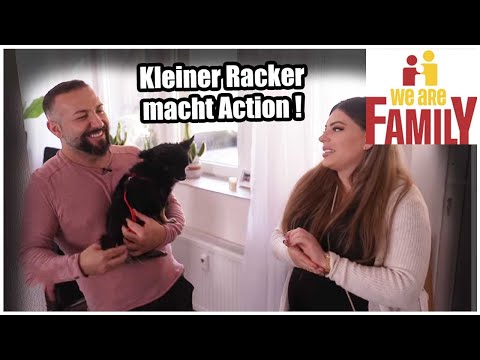Im 8. Monat schwanger: Herausfordernder Alltag mit Hund | Familie Metz | 1/2 | We Are Family!