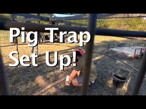 The Big Pig Trap Set up and Riding with Chris - YouTube