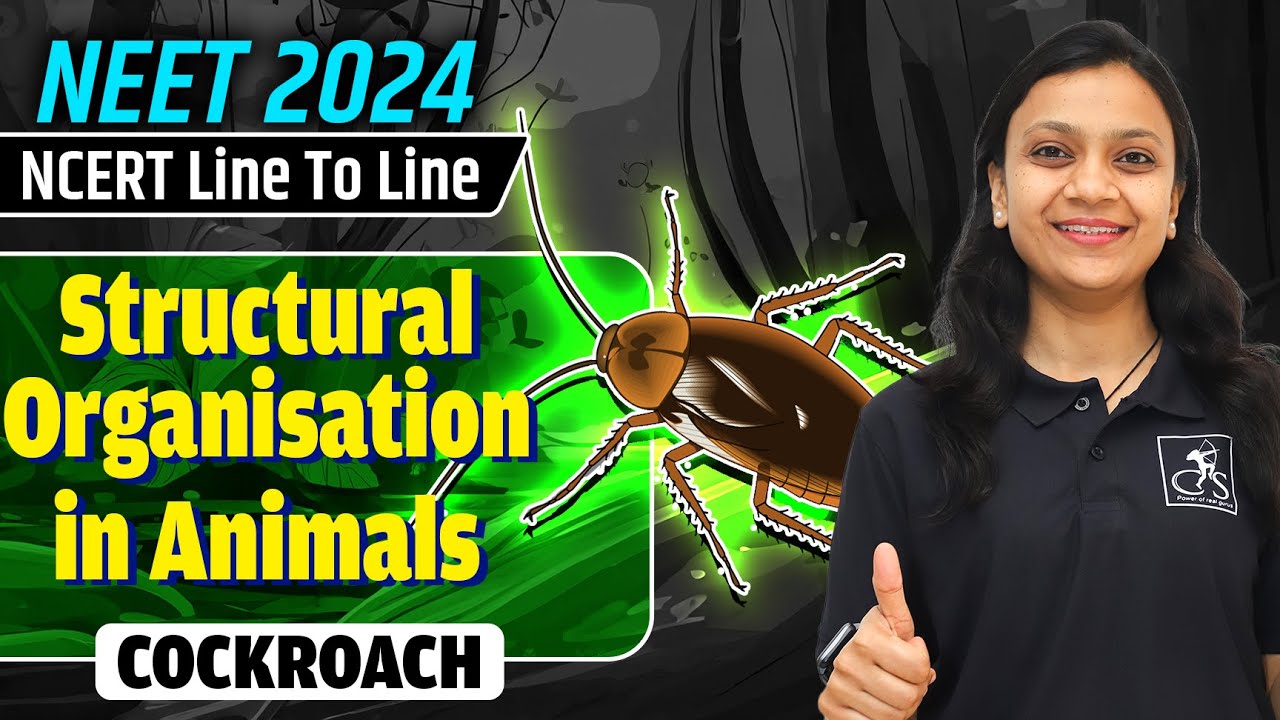 Cockroach-1 | Structural Organization in Animals | NCERT line by line ...