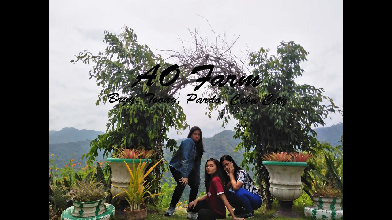 AO FARM (Cebu, Philippines) - YouTube