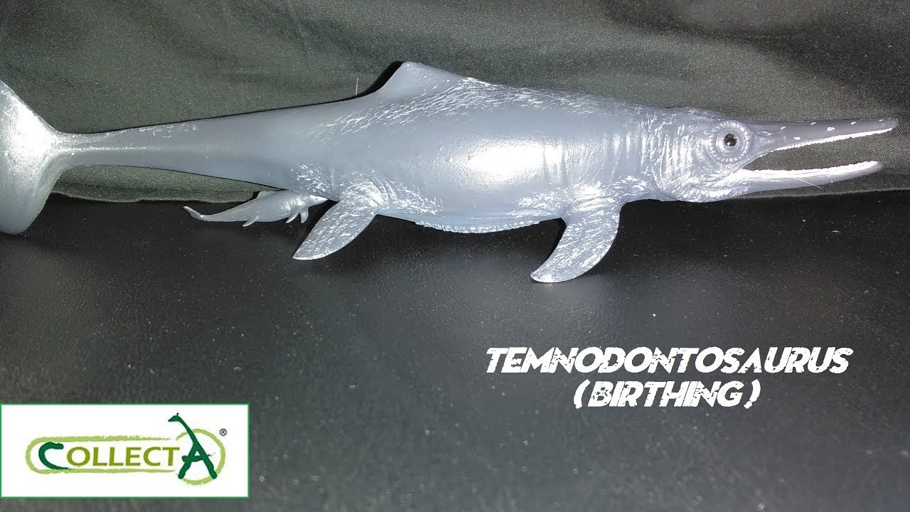 Collecta Temnodontosaurus (Birthing) Review!!! - YouTube