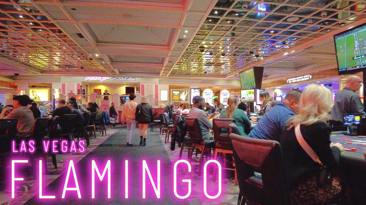 Is FLAMINGO Casino Las Vegas Still a Hot Spot in 2025? - YouTube