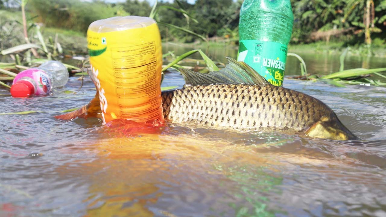Amazing Bottle Fishing Videos 🐬🔥 Best Bottle Fishing Videos In Village ...
