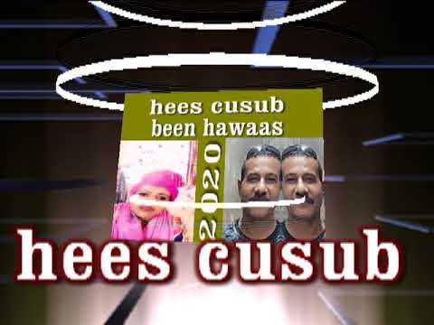 BEEN HAWAAS waa hees cusub codadka amadeo iyo xaliimo ilka cas - YouTube