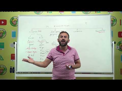 35  YKS COĞRAFYA EFE HOCA   İç Kuvvetler