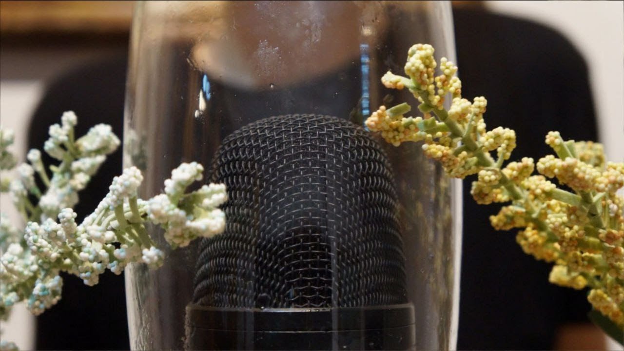 ASMR But The Microphone Is Inside Of The Vase - YouTube