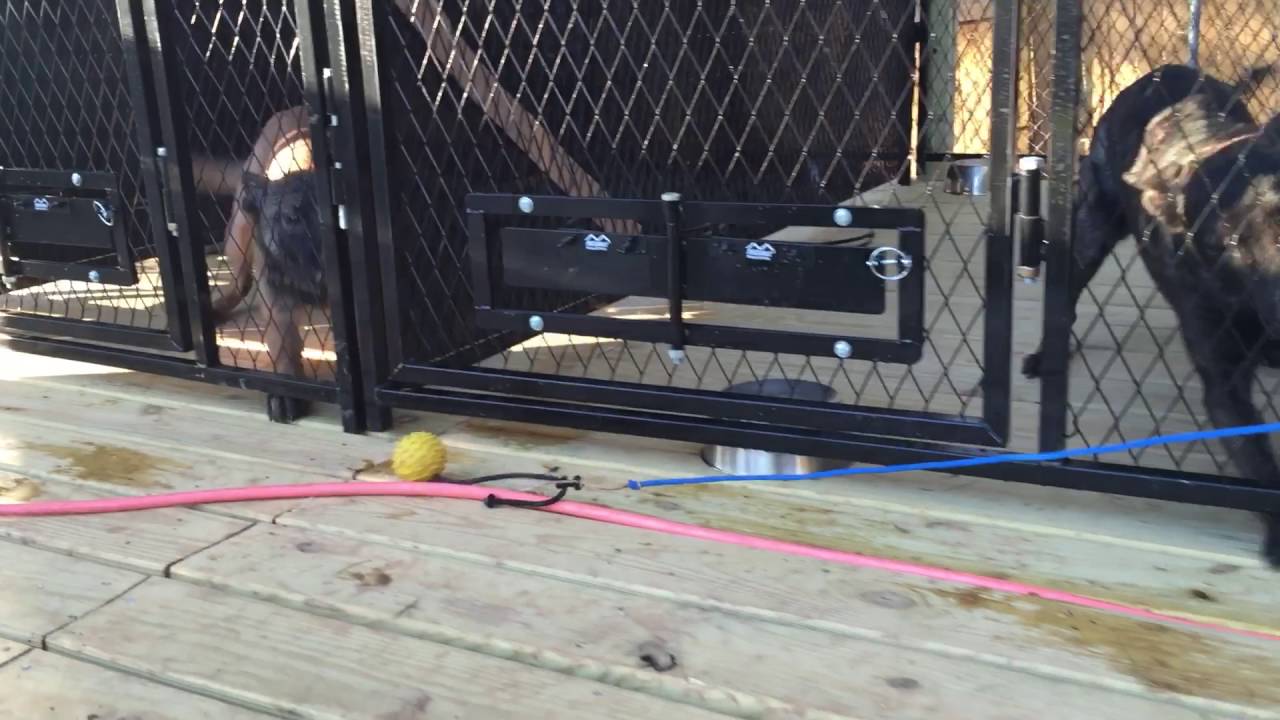 Ball drive - YouTube