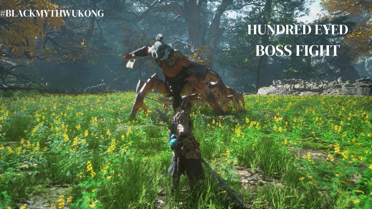 Hundred Eyed Daoist Master Boss Fight - Black Myth Wukong | RTX 3060 ...
