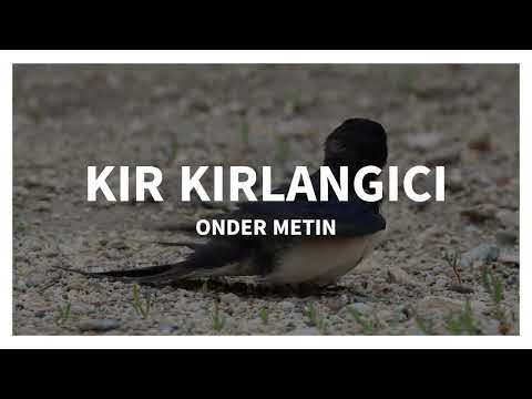 KIR KIRLANGICI - ÖNDER METİN - ILGIN KONYA