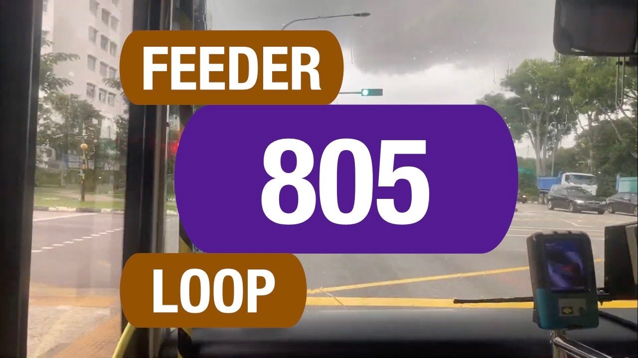 SBS Transit Feeder 805 | Bus Service Route Visual - YouTube