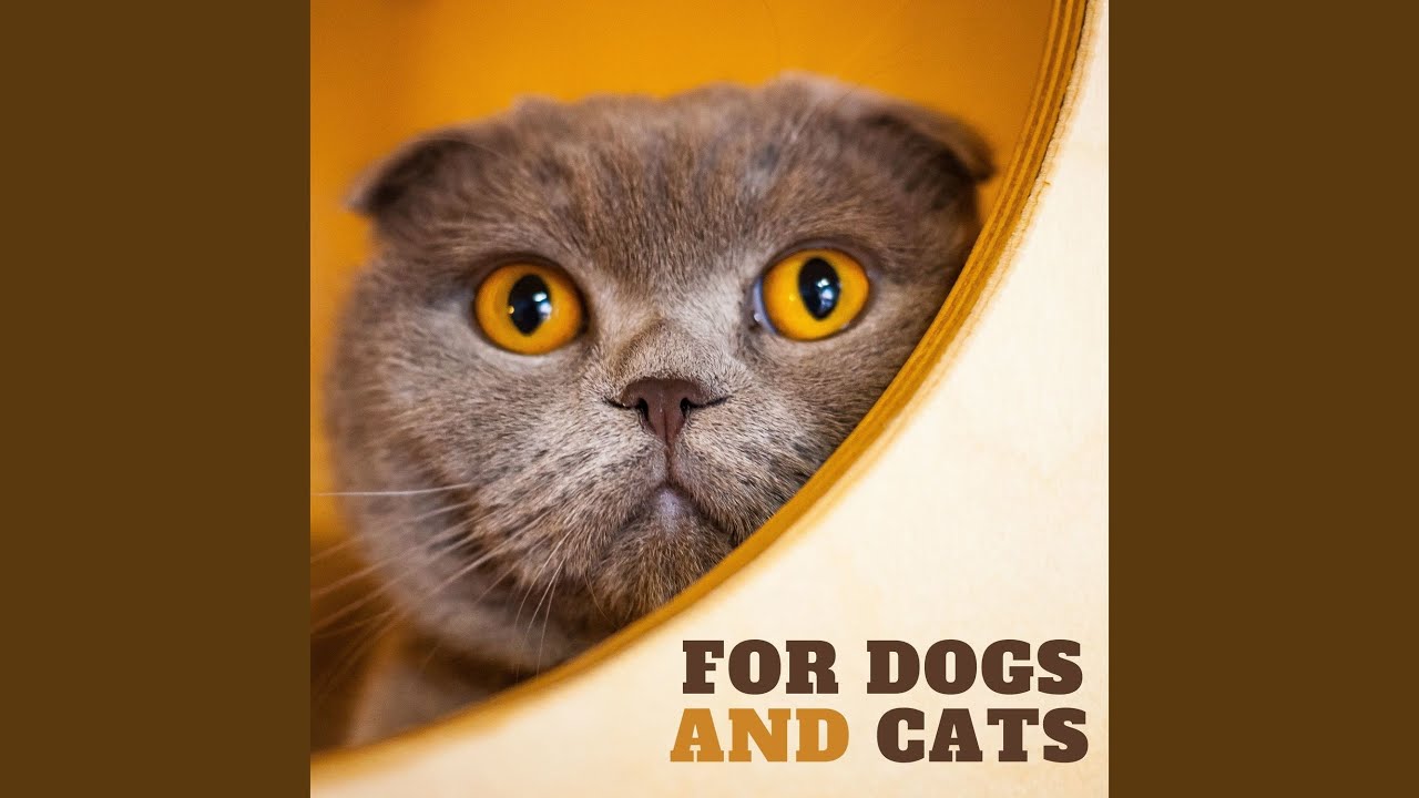 While You Are Gone - YouTube