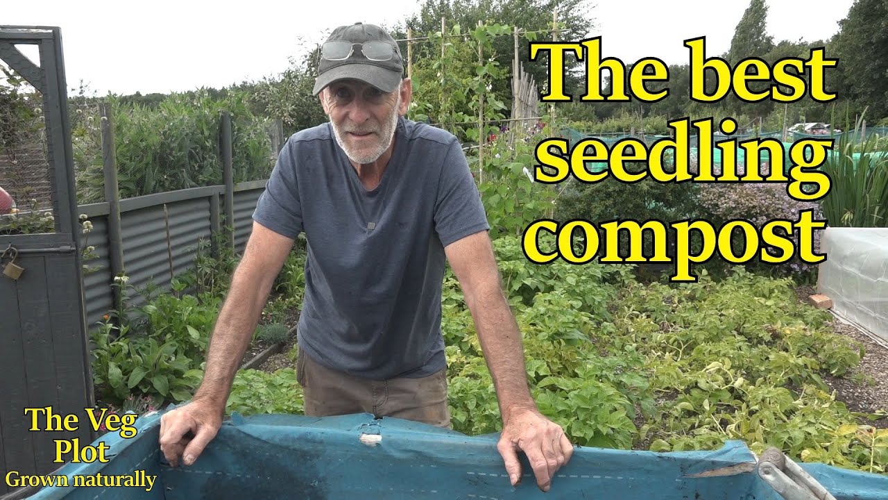 which is the best seedling compost - YouTube