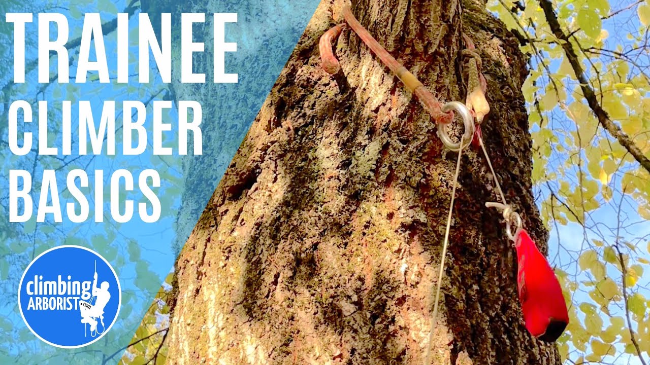 Friction saver and rope install plus retrieval from the ground with ...