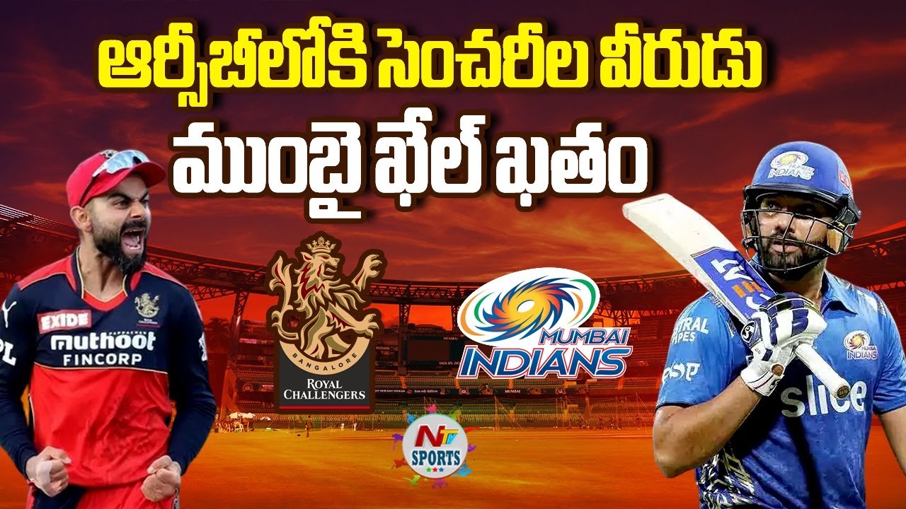 IPL 2025 Playoffs: RCB sign With Tim Seifert | NTV SPORTS - YouTube