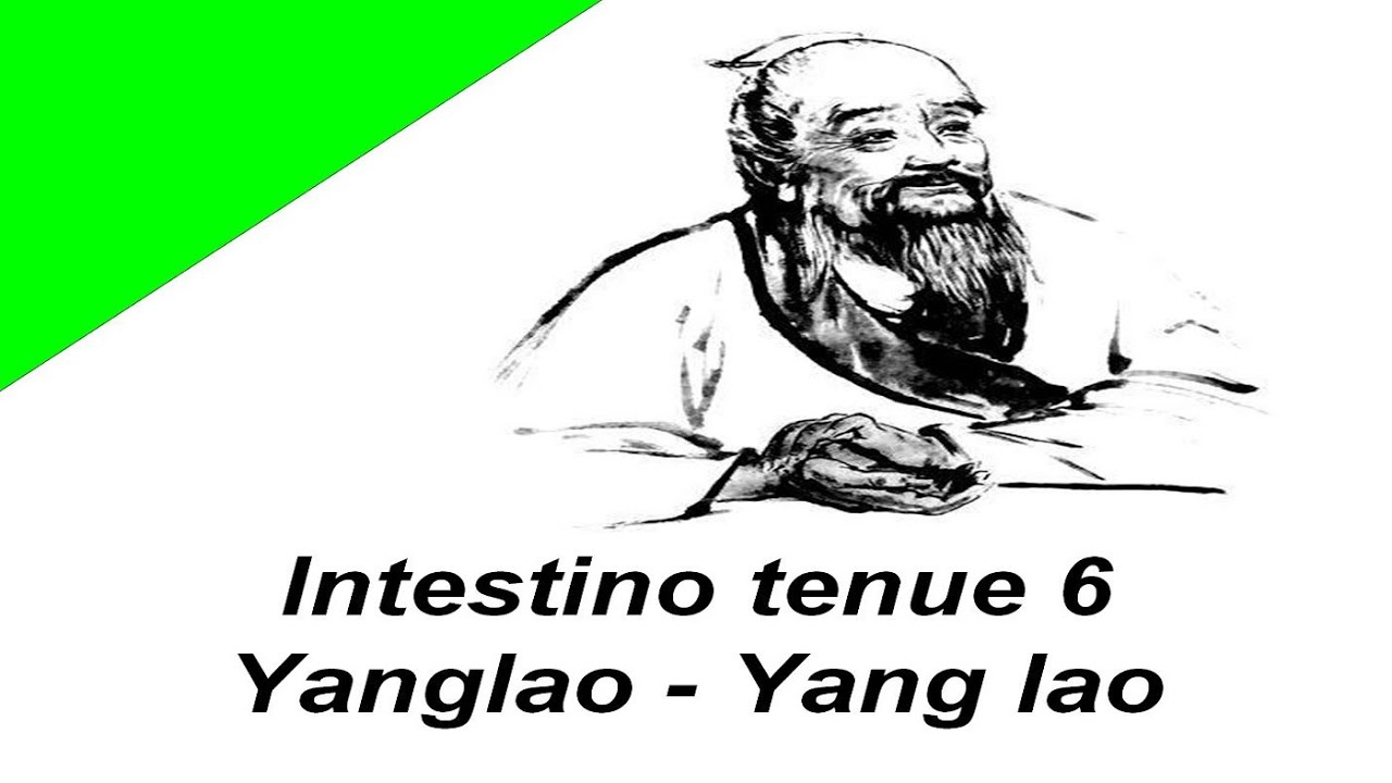 agopuntura, it 6, si 6, yanglao, meridiano intestino tenue, agopuntura ...