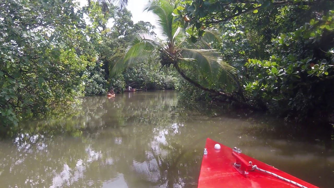 Sailing along the Faaroa River on Raiatea Island, French Polynesia, in ...