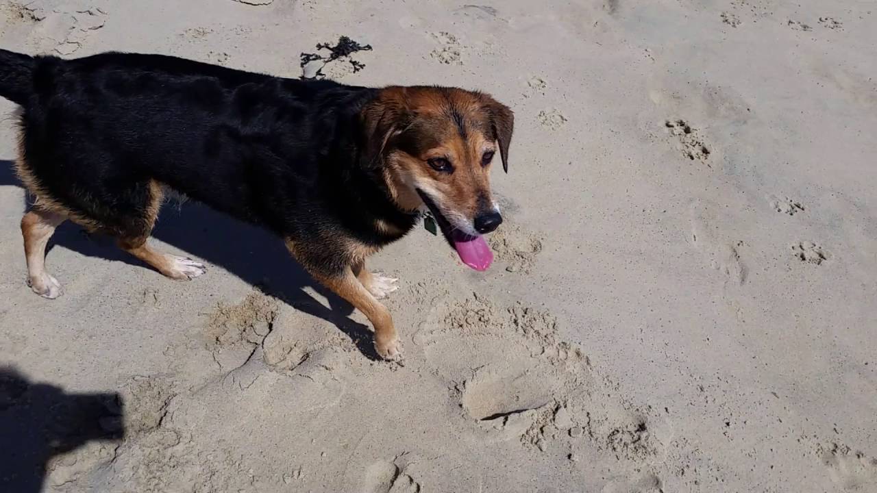 Libby wipes out Danny - YouTube