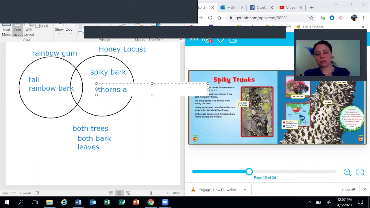 Compare and Contrast 2 trees - YouTube