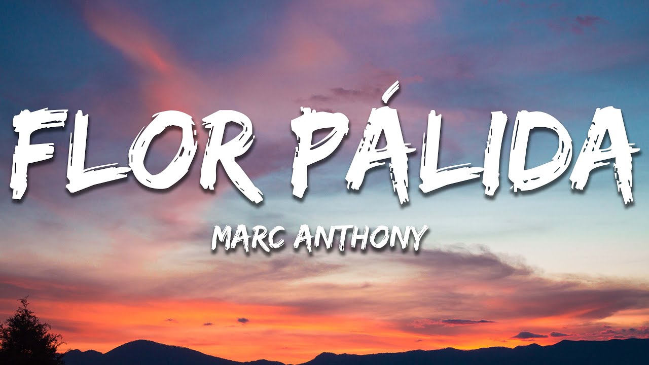 Marc Anthony - Flor Pálida (Letra/Lyrics) - YouTube