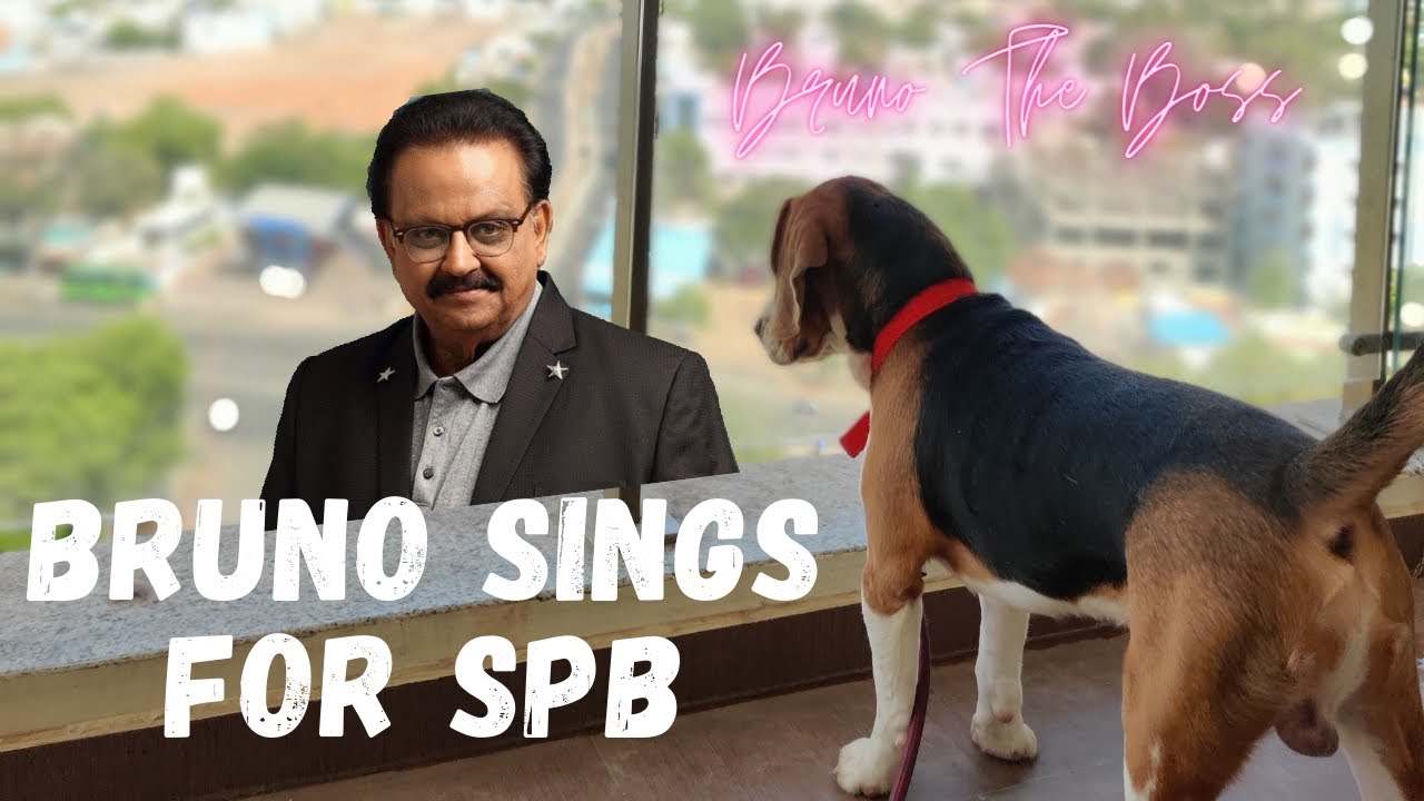 Bruno Sings For SPB | RIP - Return If Possible | RIP SPB | Bruno The ...