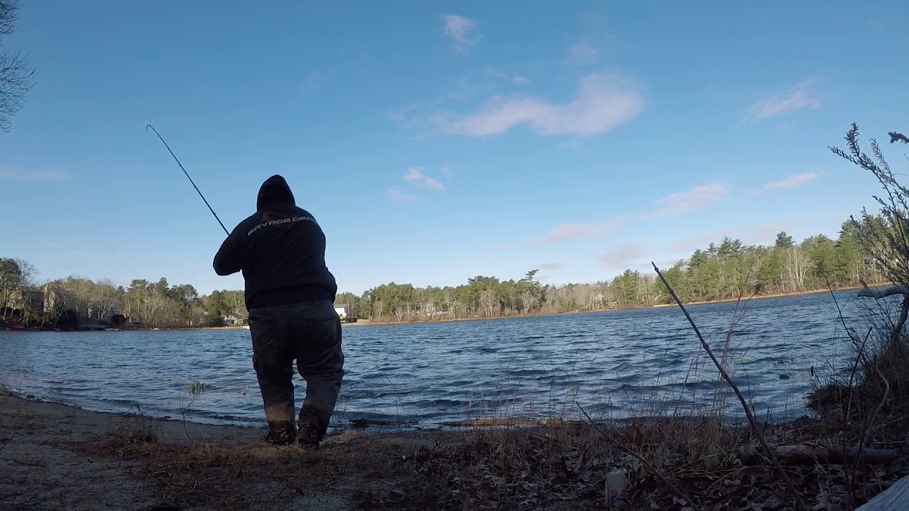 Pats perch - YouTube