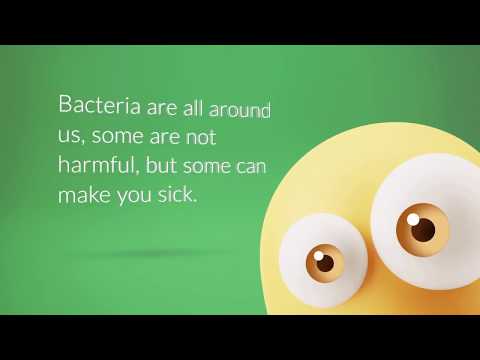 Microbes 101: E.coli