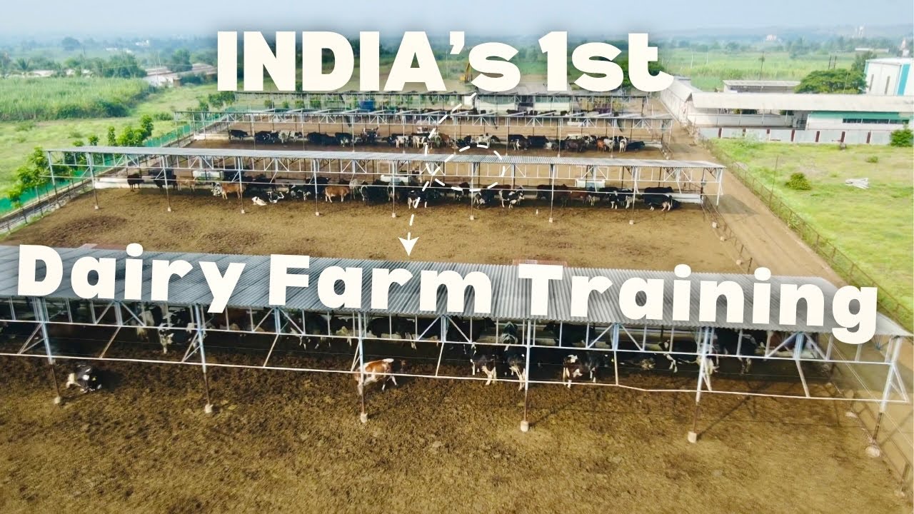 India's 1st Advance Dairy Farming Training Program By SAVANT Dairy Farm ...