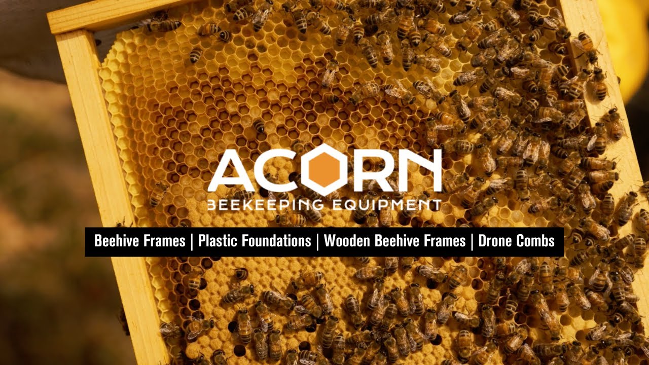 Acorn Beekeeping Equipment for Commercial, Sideliner, and Backyard ...