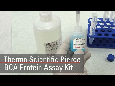 BCA Protein Assay Reagent (bicinchoninic acid)