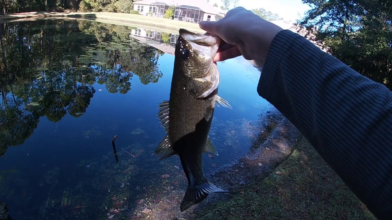 Whopper Plopper fishing at a new location - YouTube