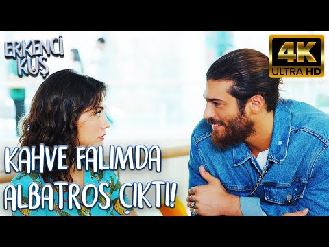 Neyse Halim Çıksın Falım! (4K ULTRA HD) | Erkenci Kuş