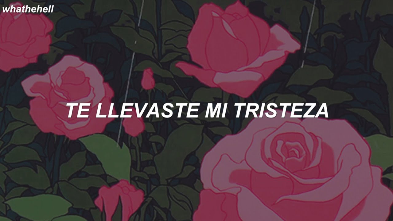 con flores te llevaste mi tristeza, con colores - YouTube Music