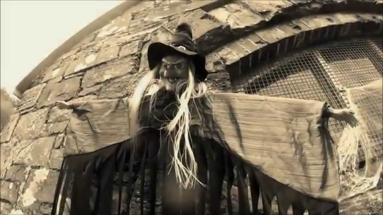 Myrtleville Vampire Swim 31 October 2015 the First of many to come ...