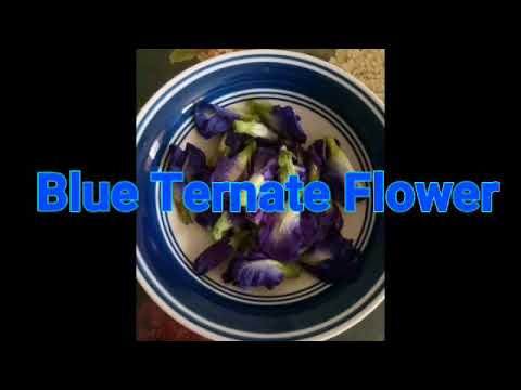 Butterfly Pea Flower| Blue Ternate Flower | Blue Rice - YouTube