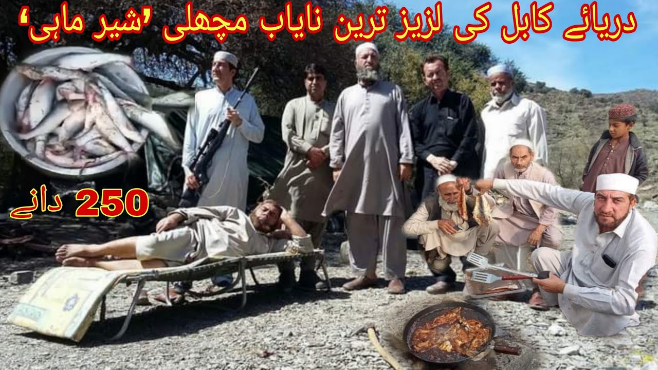 دریائے کابل کی نایاب مچھلی ’شیر ماہی‘ | Fish Hunting in darya Kabul ...