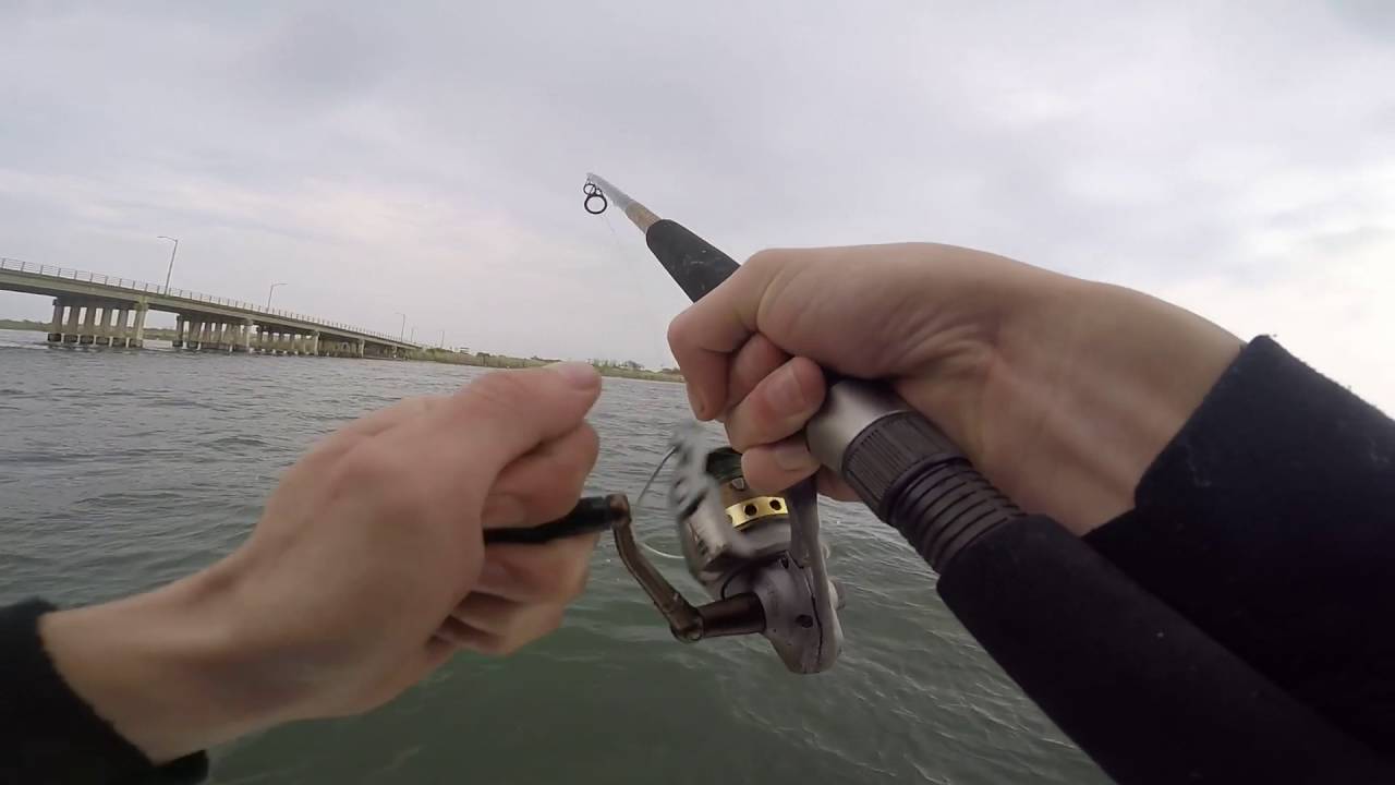 Smith point fishing bluefish - YouTube