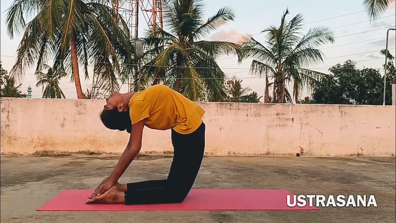How to do Camel pose| Ustrasana | Back bend Asanas | Benifits | - YouTube