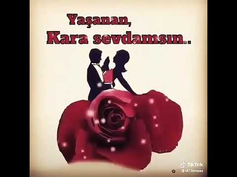 WhatsApp üçün yeni status video və mahnı 2019 mp3