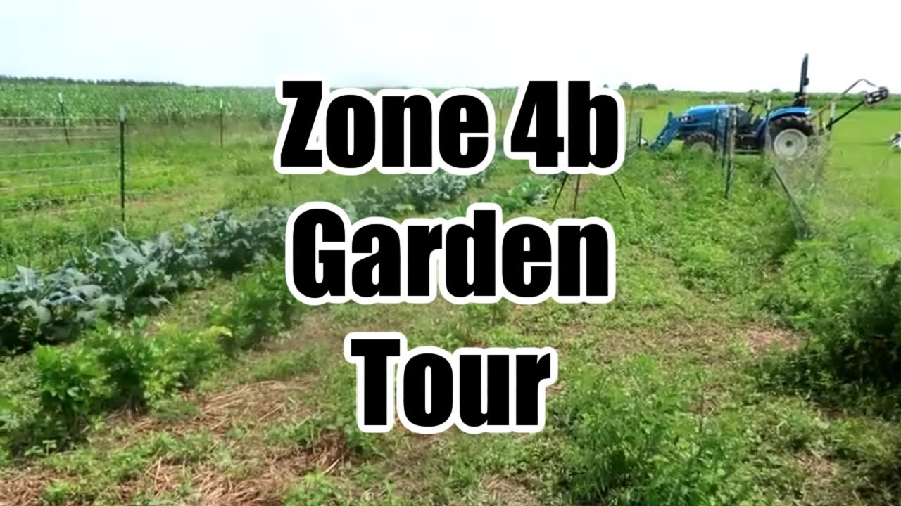 July Homestead Garden tour Wisconsin zone 4b - YouTube